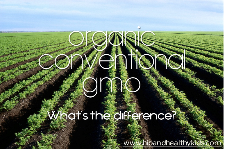 Organic/ Conventional/ GMO food - What's the Difference? ⋆ Hip ...